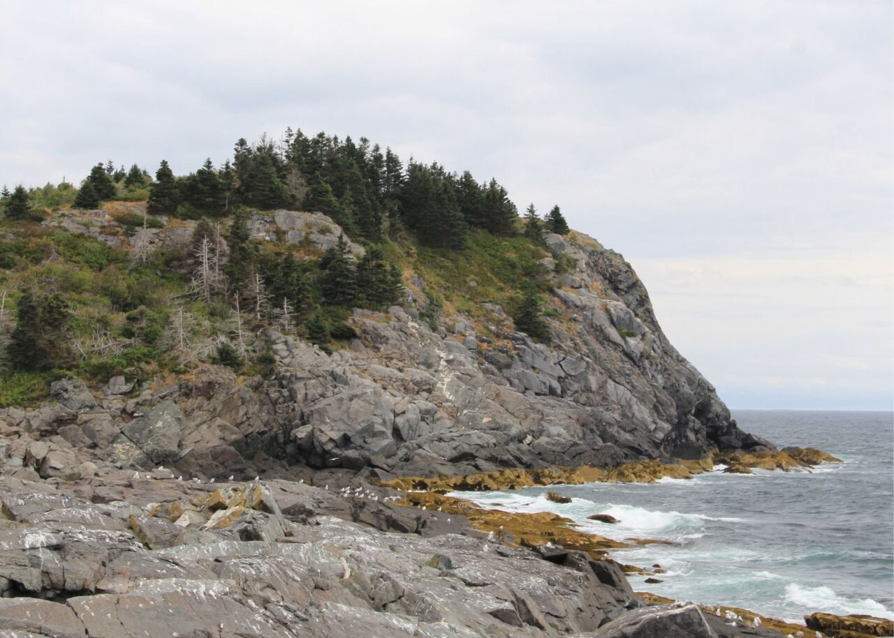 The Suspicious Death of Sally Maynard Moran (Maine) | Dark Downeast